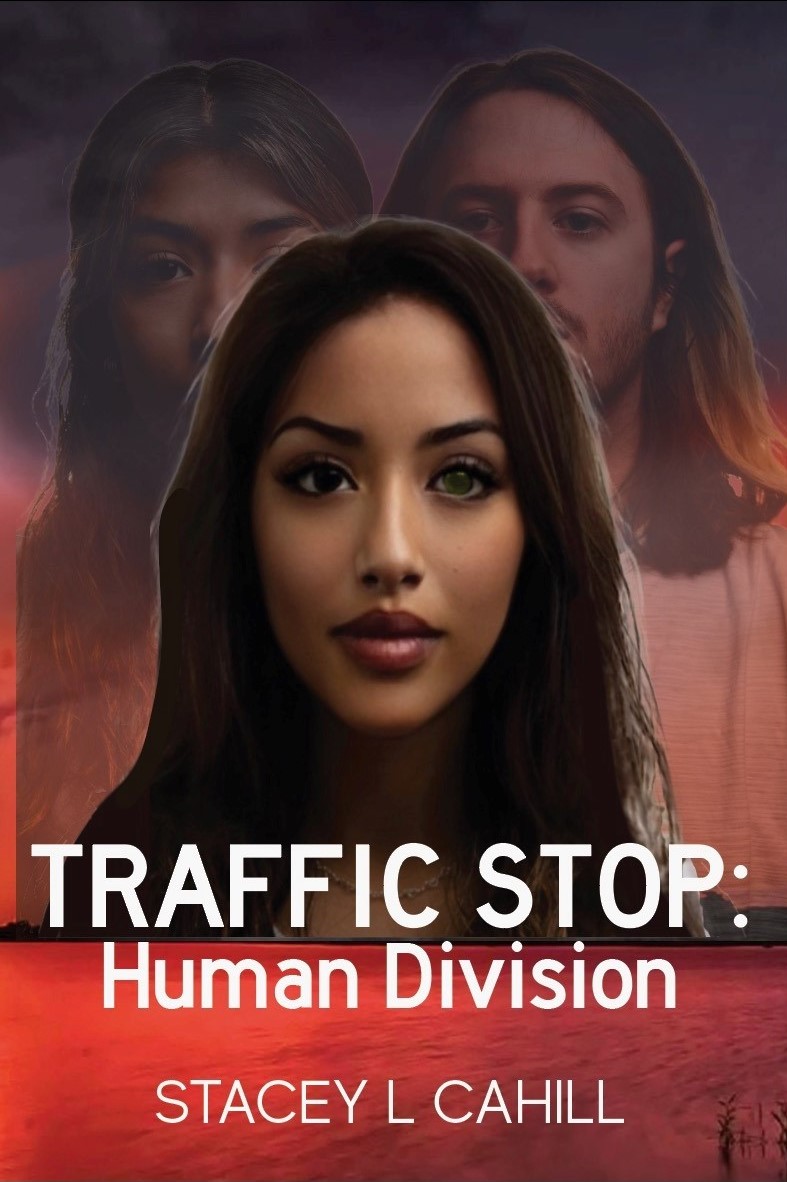 Lisa Molina’s review of Traffic Stop: Human Division – Traffic Stop ...